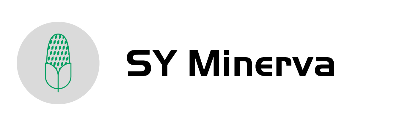 SY Minerva - Variety Kukurica na siláž a zrno | Syngenta