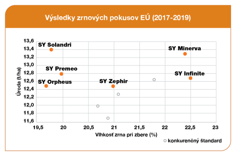 SY Minerva - Variety Kukurica na siláž a zrno | Syngenta