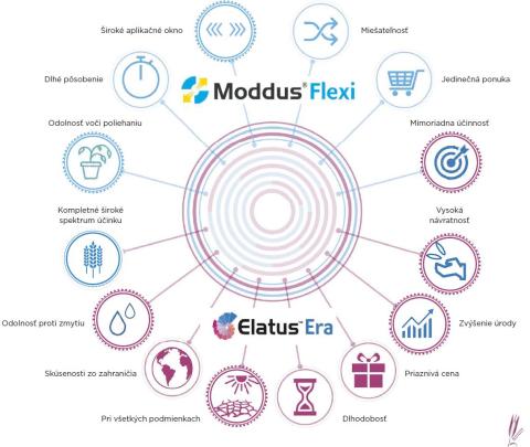 Elatus Era Moddus Flexi Pack - Fungicídy | Syngenta
