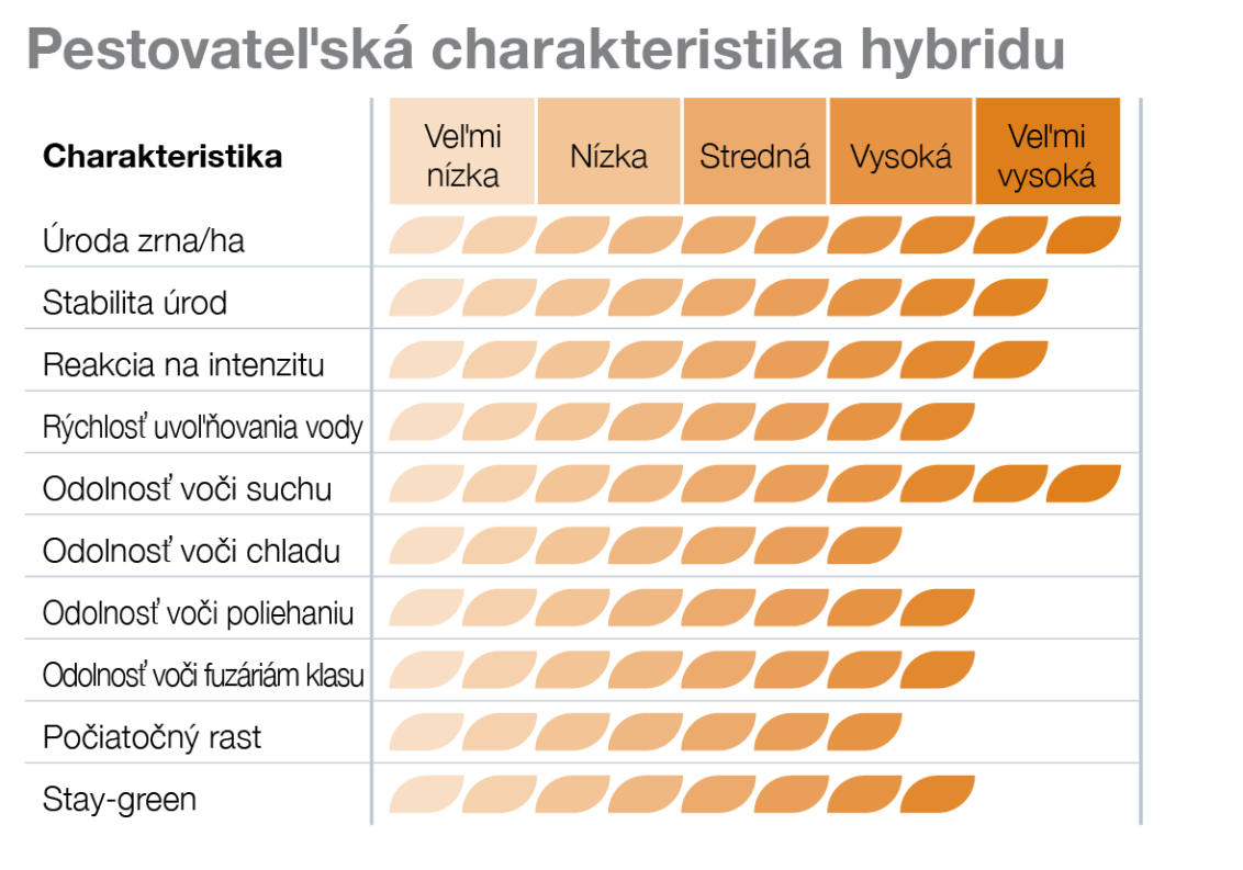 SY Minerva - Variety Kukurica na siláž a zrno | Syngenta